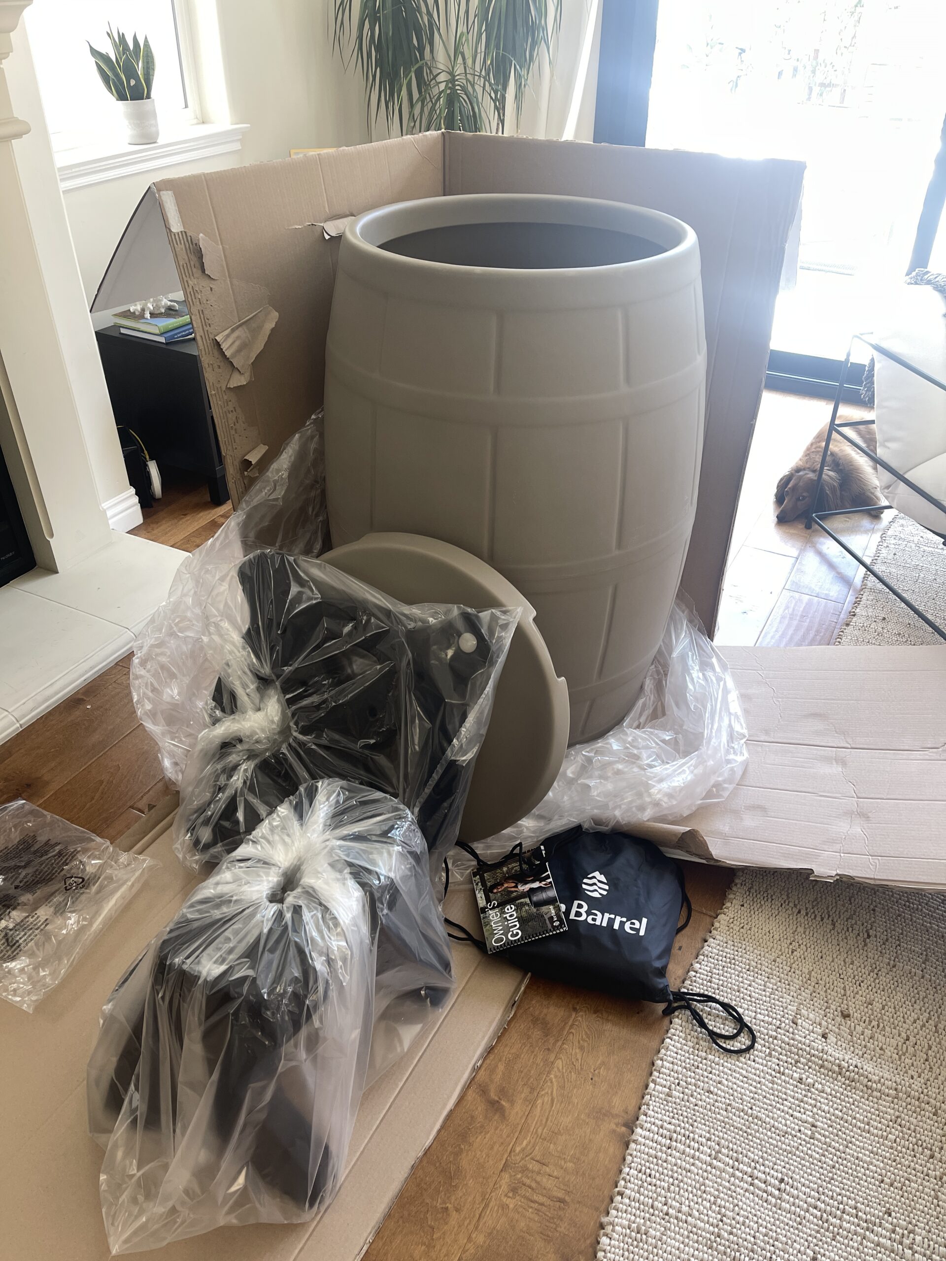 2025 Ice Barrel Review : Pro's, Cons & What You Need to Know | The Hive